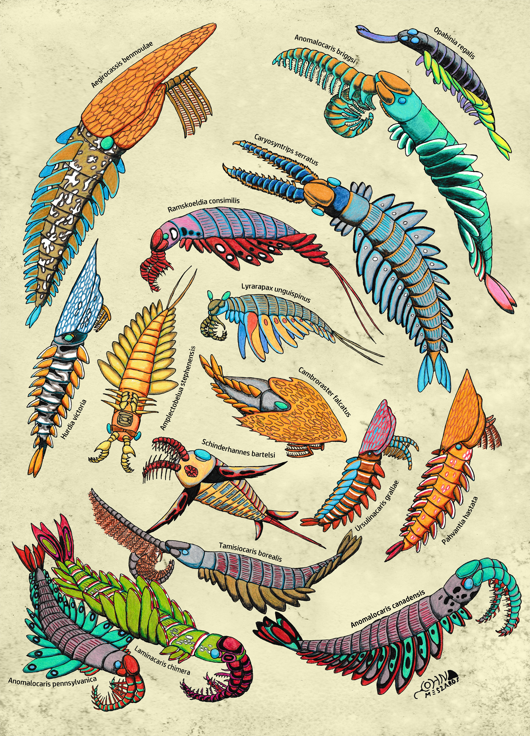 PREHISTORIC LIFE – John Meszaros Illustration